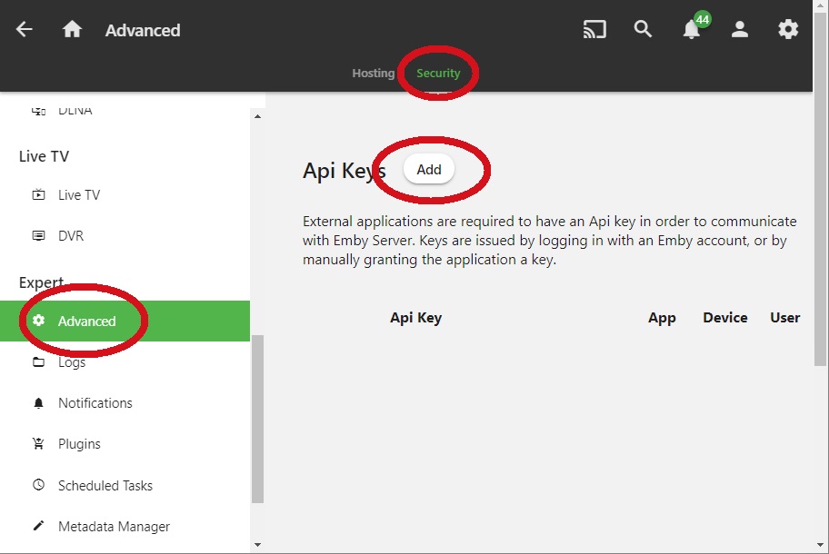 API Key Authentication